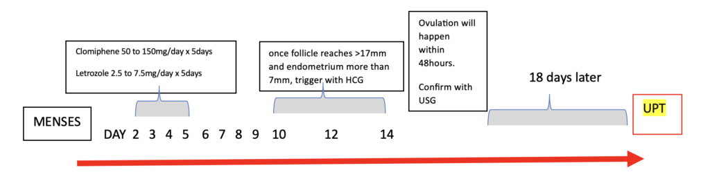 Ovulation Induction - Fertility Center